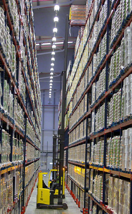 Greater storage capacity and speed with Pallet Shuttle | Casos ...