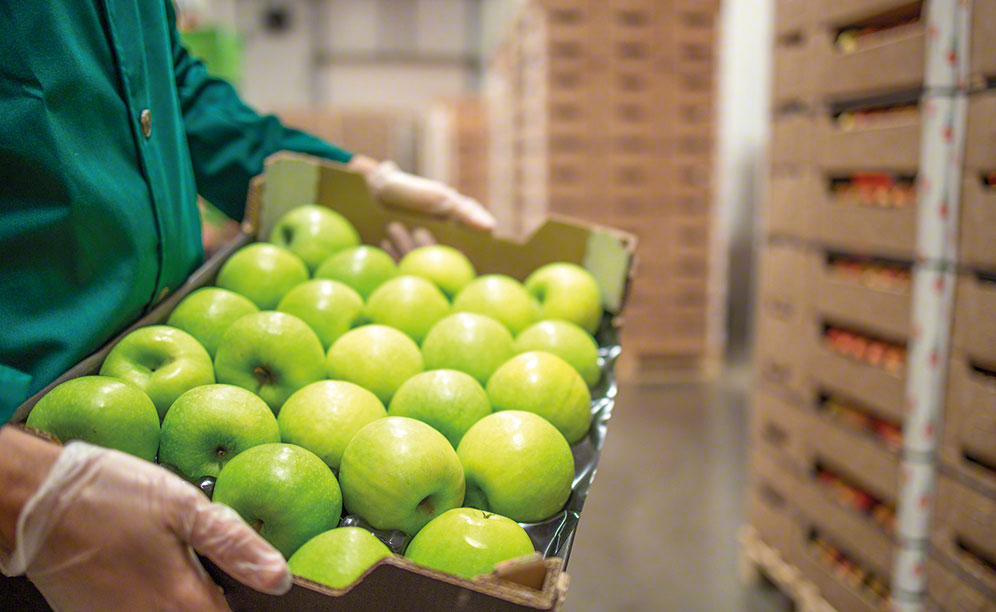 Megafin (3PL): digitalisation of a large facility - Mecalux.co.uk